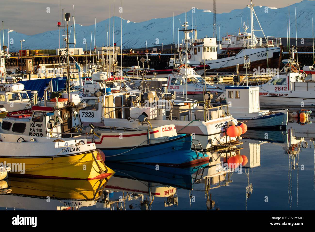 Dalvik, Nordurland eystra, Iceland Stock Photo - Alamy