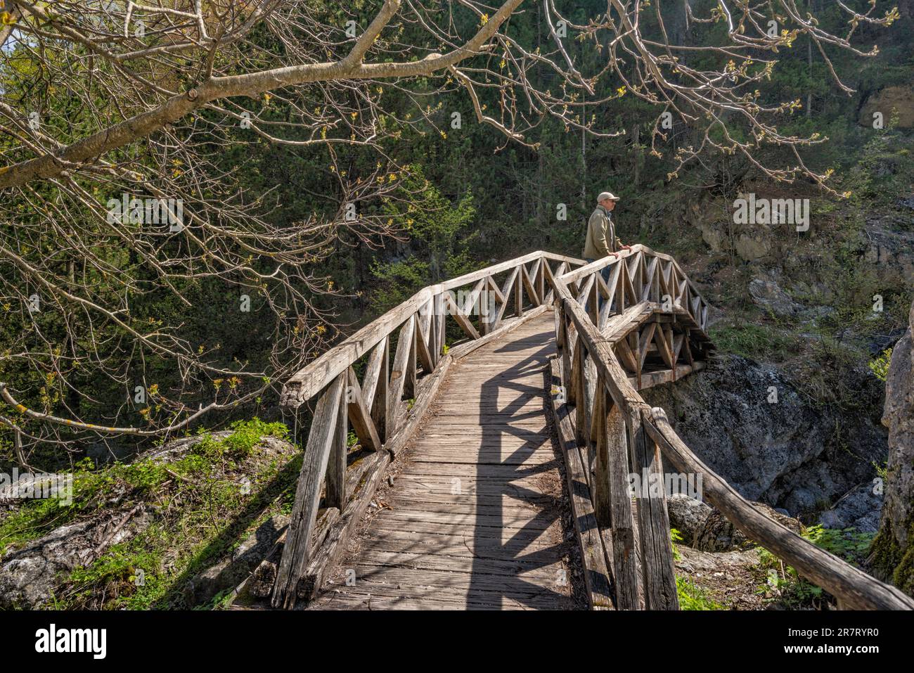 Boardwalk footpath bridge lit hi-res stock photography and images - Alamy