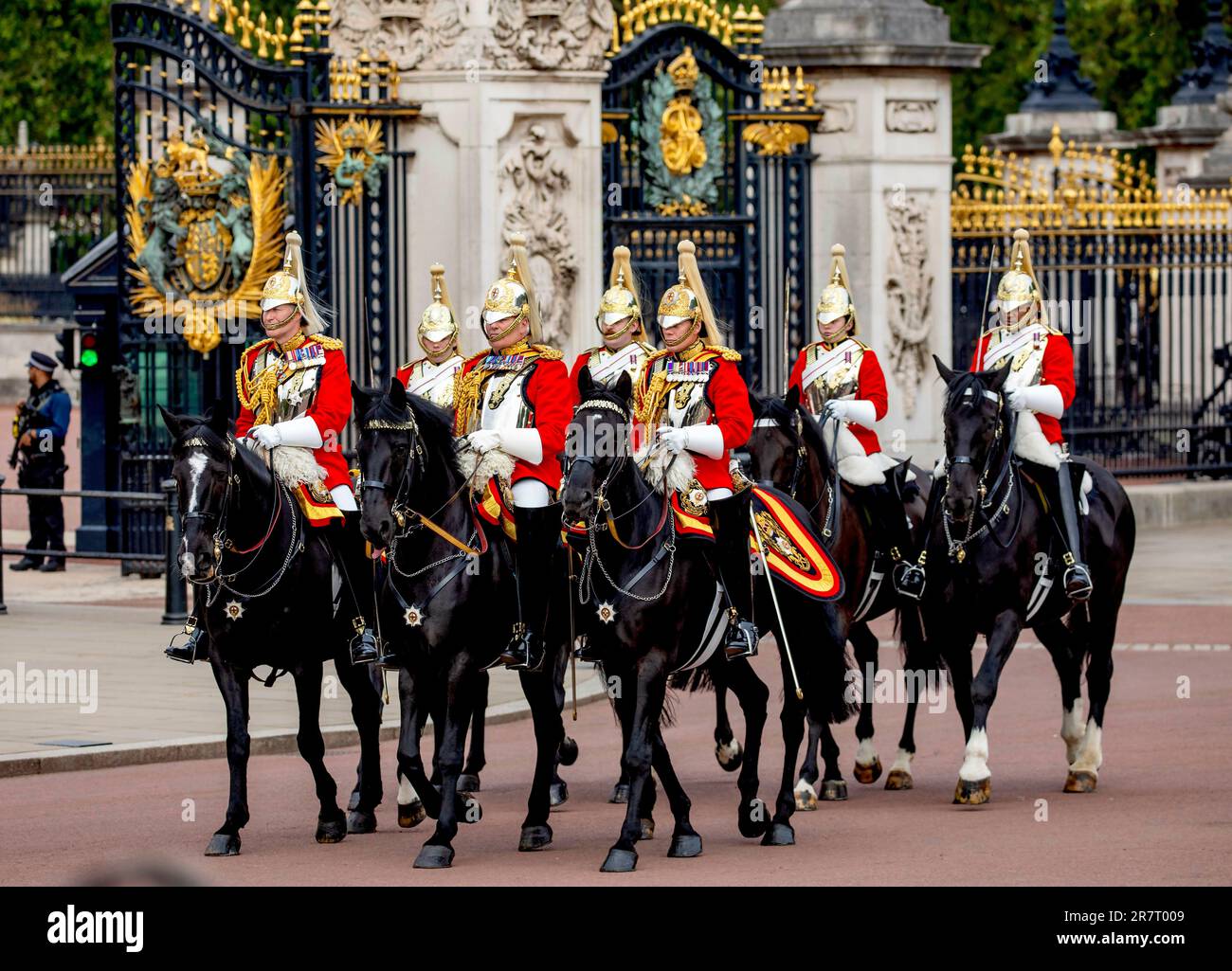 Buckingham Palace Horse Guards