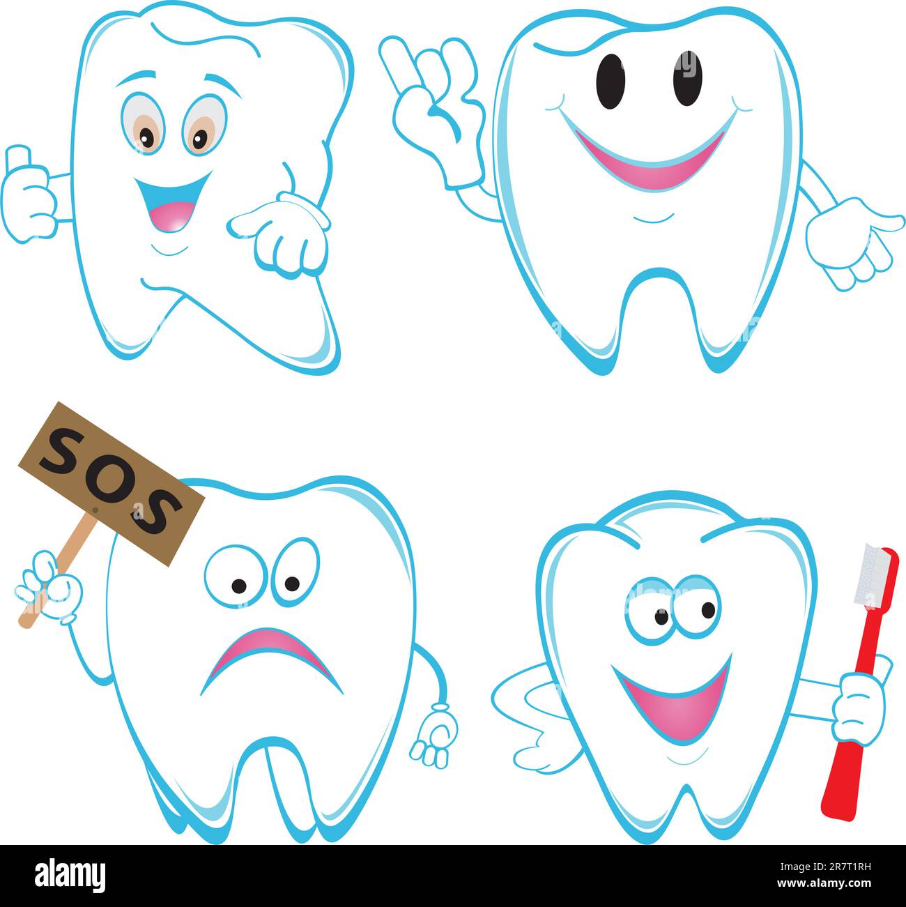 Human teeth molars anatomy Cut Out Stock Images & Pictures - Alamy