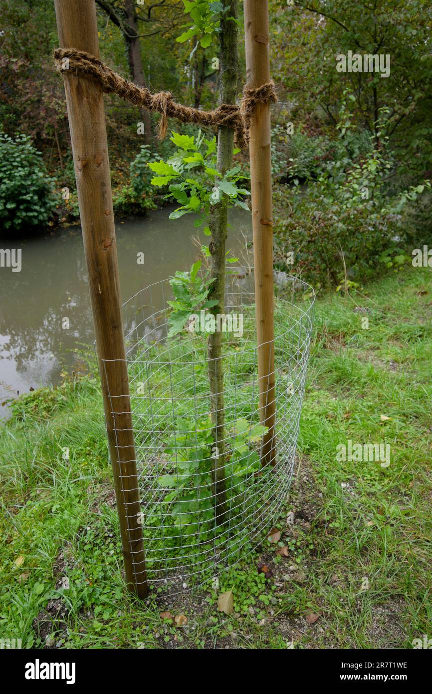 Predation prevention hi-res stock photography and images - Alamy