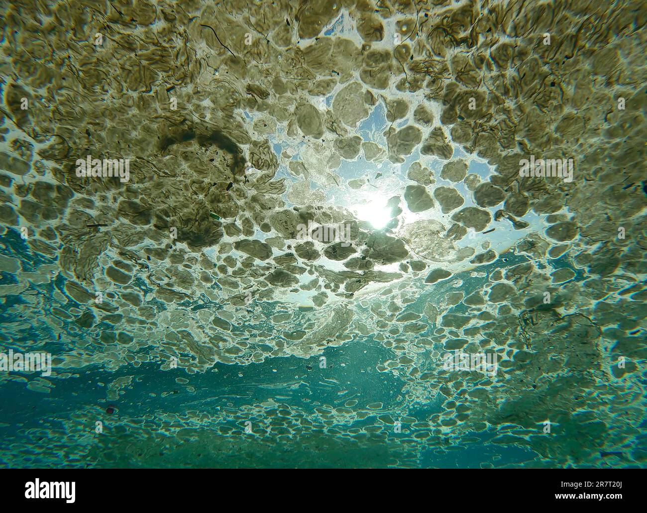 View from underwater to thick layer of fat covering surface of Ocean on ...