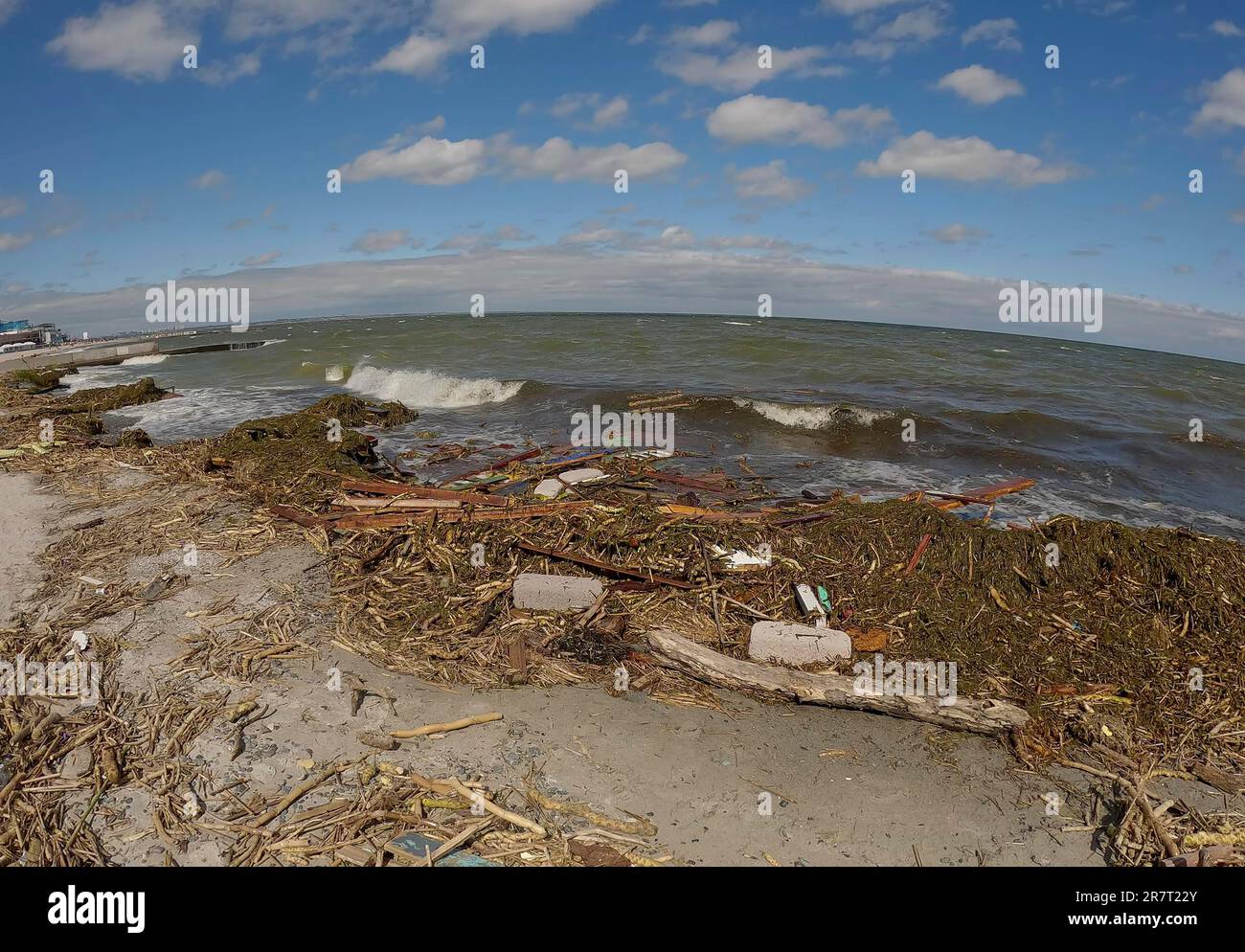 Floating debris has reached the Black Sea beaches in Odessa, Ukraine ...