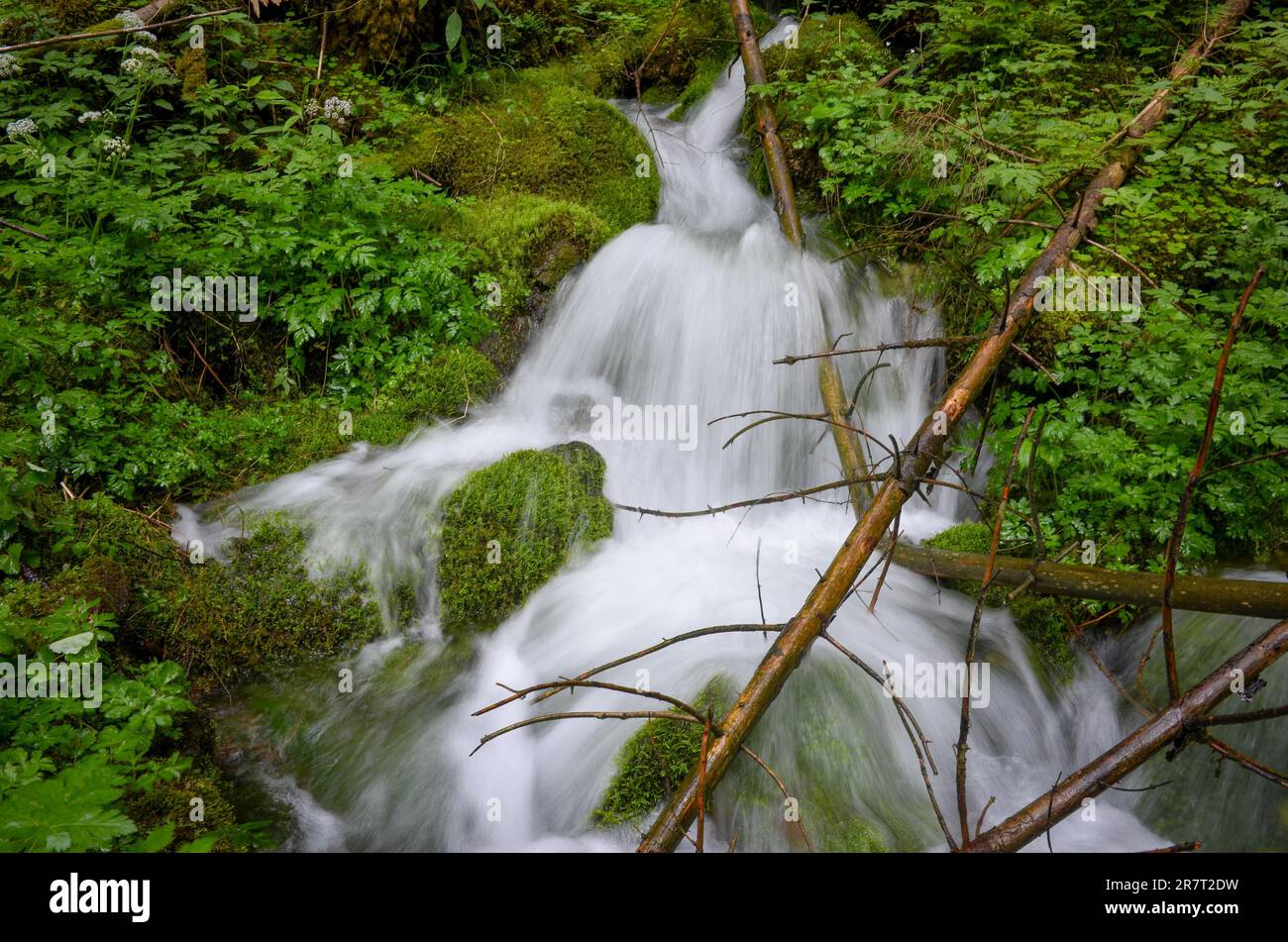 The Schwarzbrunnen, a bubbling spring in the Klausbach Valley in ...