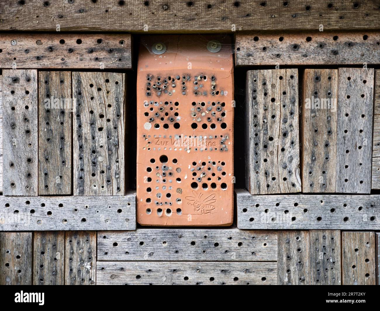 Wild bee nesting sites, masonry stone and wood with holes serve as ...