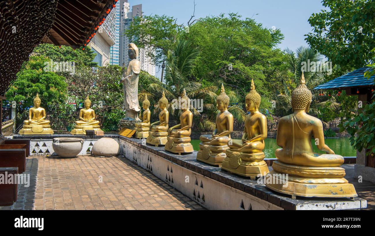 Golden Buddha statues at the Seema Malaka Buddhist Temple overlooking ...