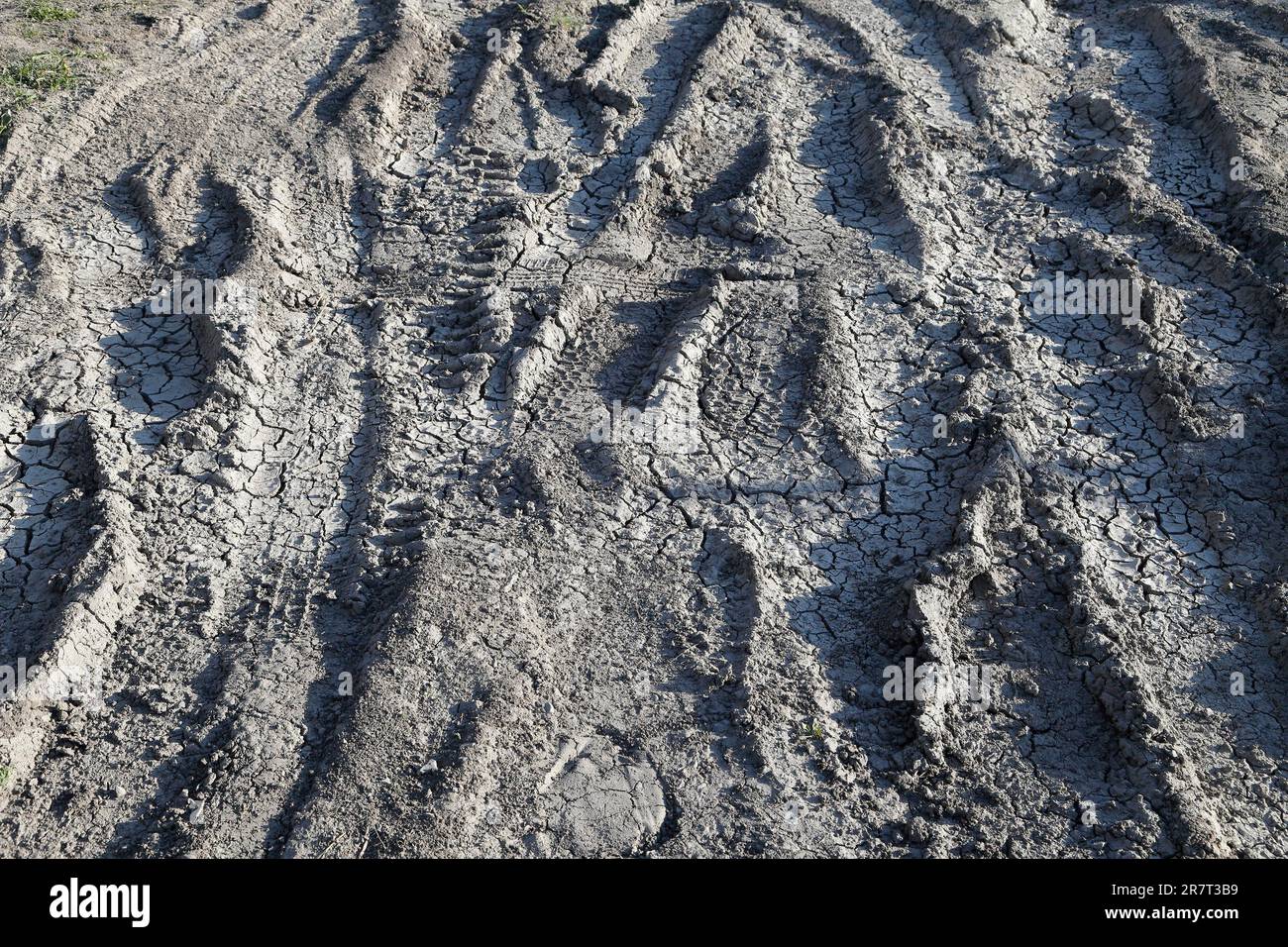 Dried mud prints hi-res stock photography and images - Alamy