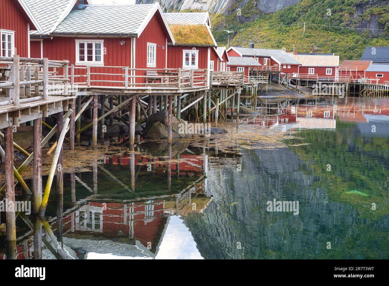 Traditional red rorbuer cabins in the fishing village of Reine, Lofoten ...