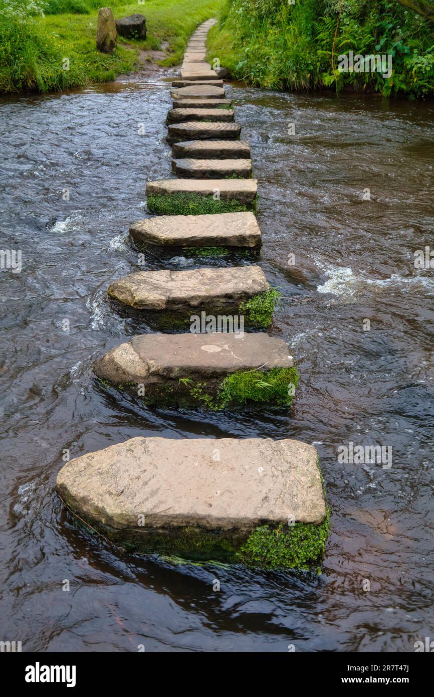Stepping stone hi-res stock photography and images - Alamy