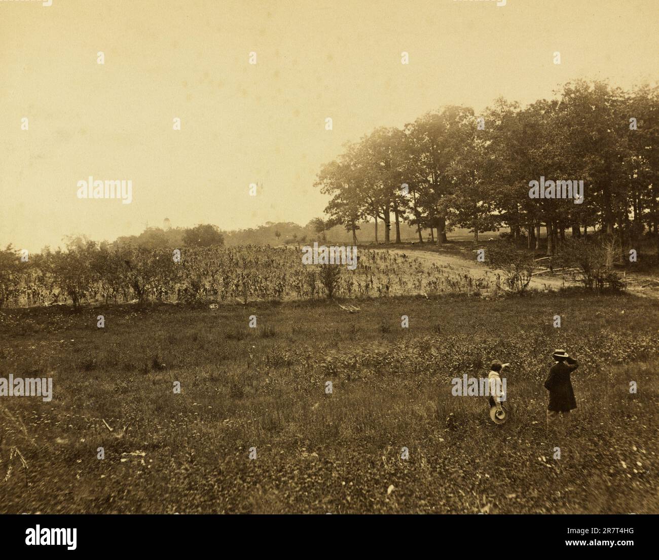 Mathew brady studio hi-res stock photography and images - Alamy