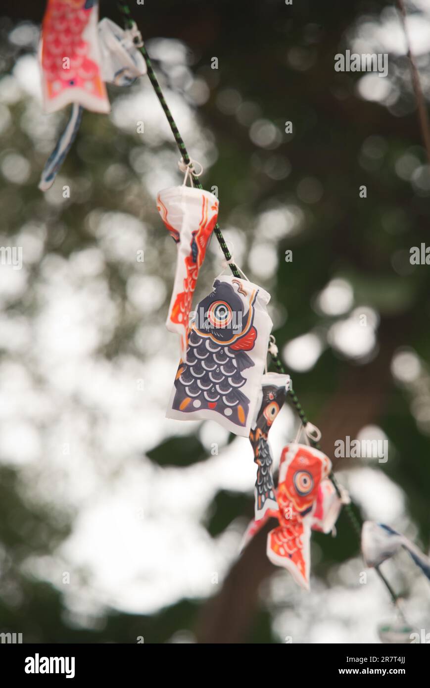Japanese Children's day fish flags decoration Stock Photo - Alamy