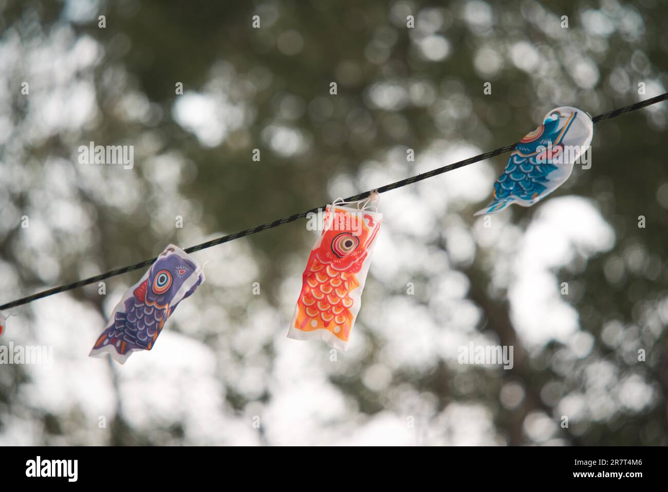 Japanese Children's day fish flags decoration Stock Photo - Alamy