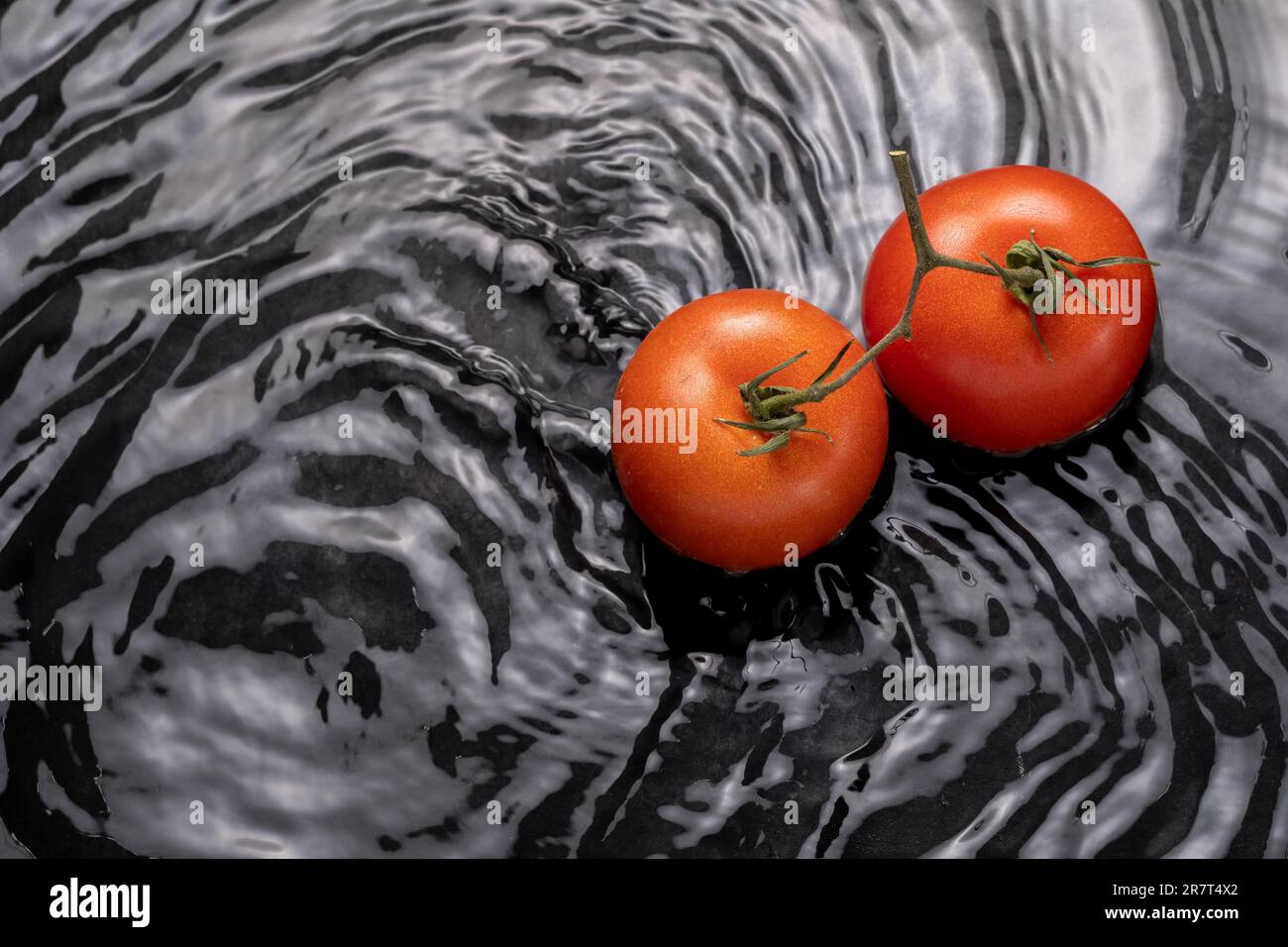Tomatoes falling into the water with waves, black background and copy ...