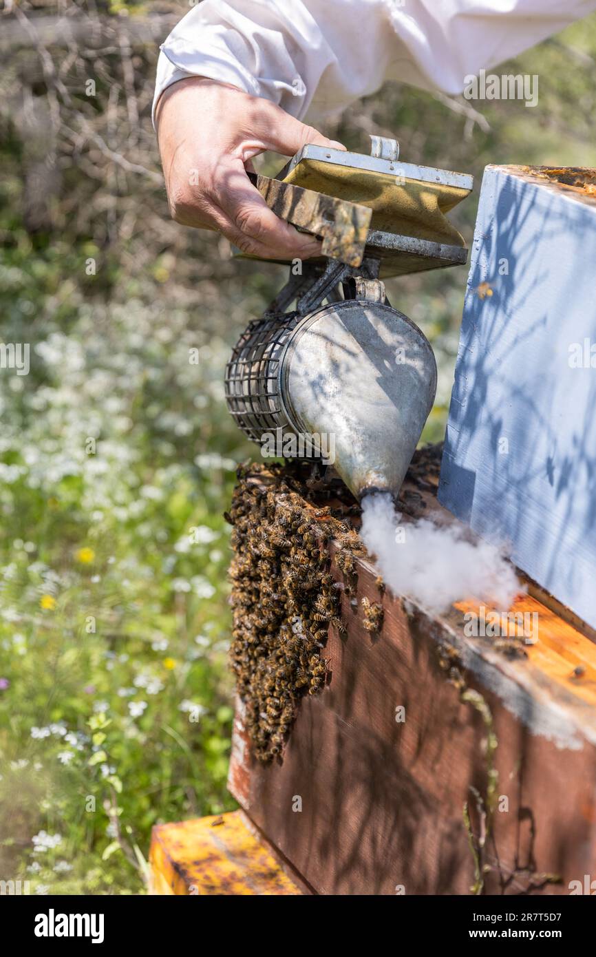A beehive man-made structure to house a honey bee nest in Greek fields ...