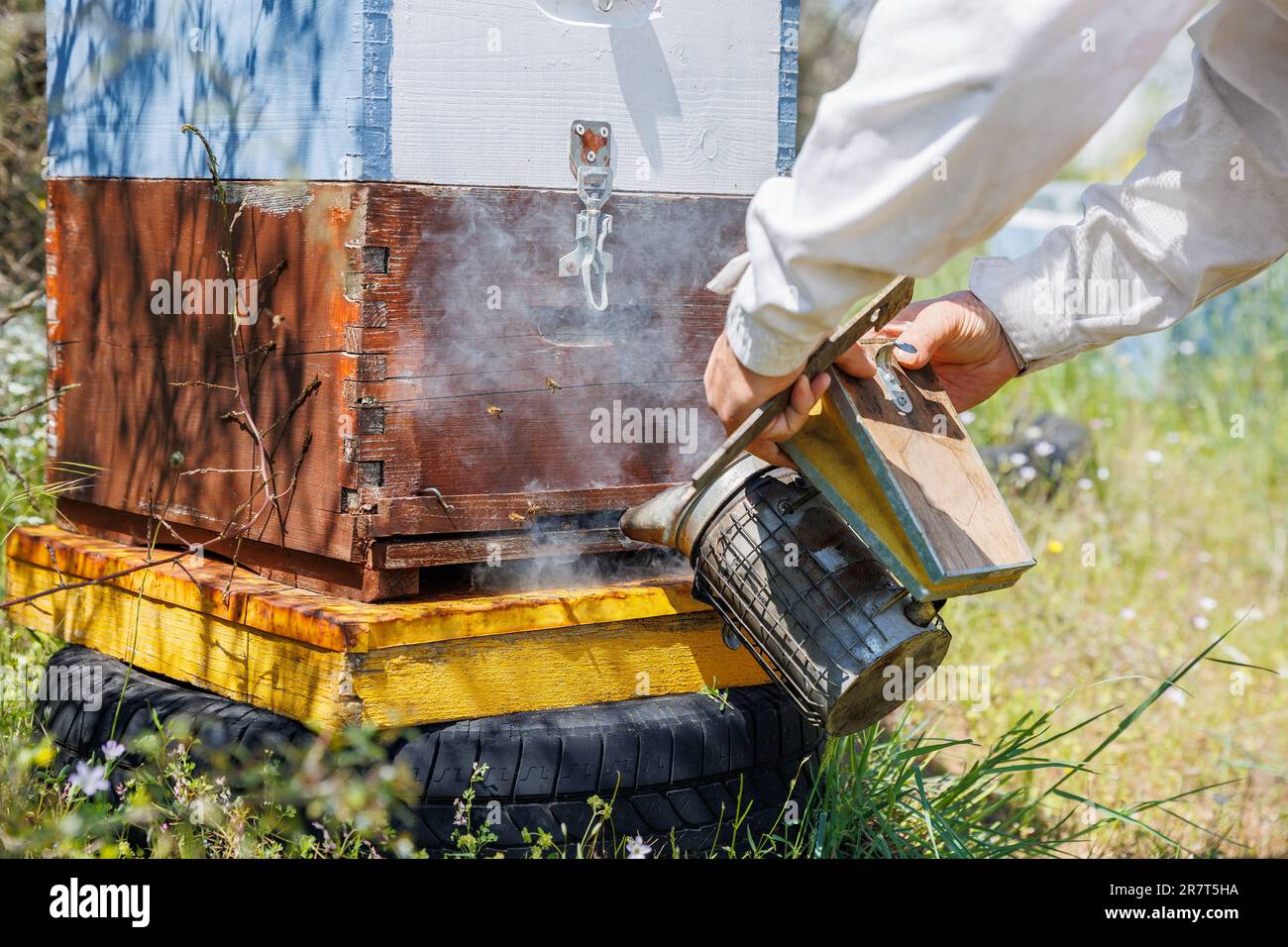 A beehive man-made structure to house a honey bee nest in Greek fields ...