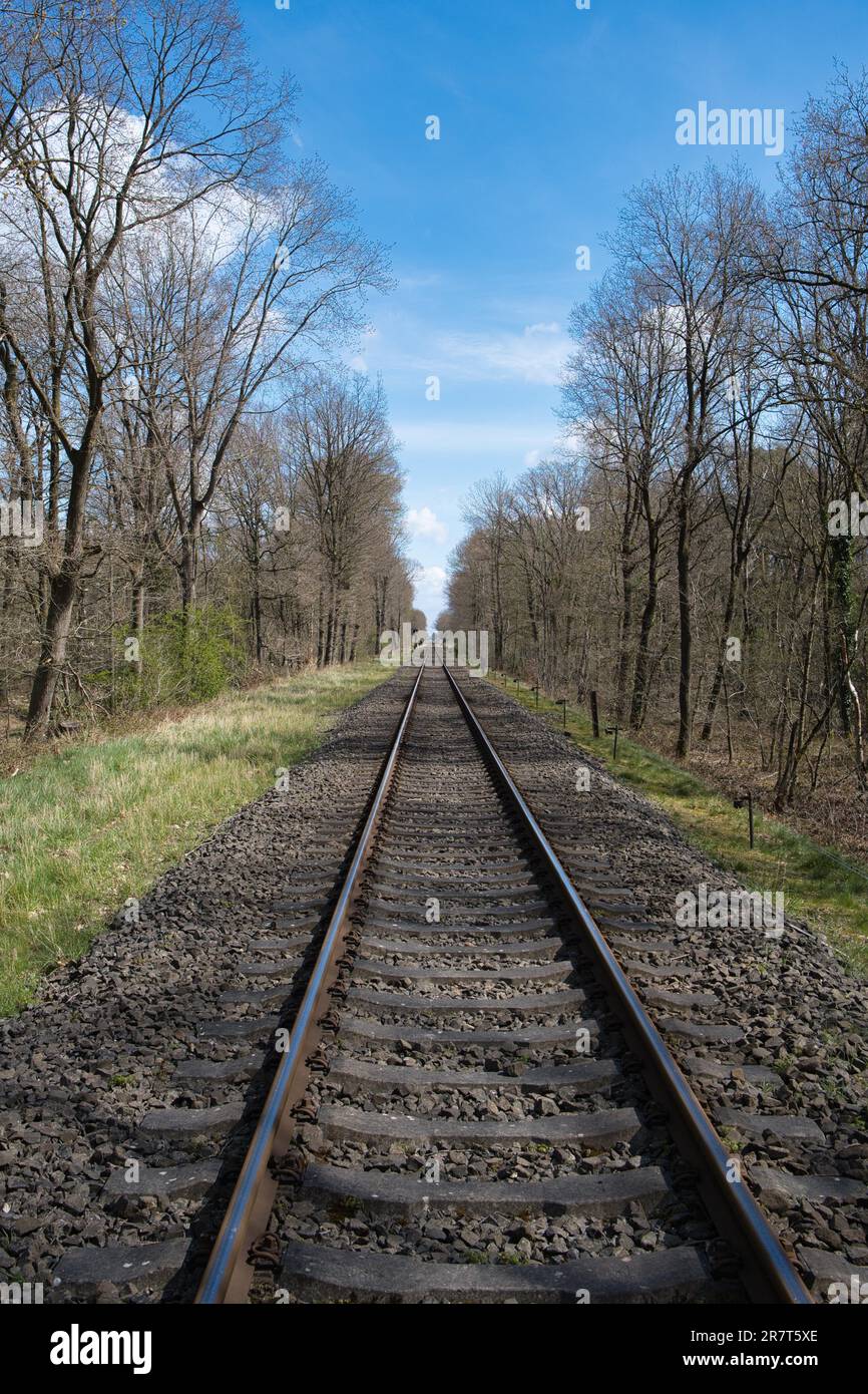Railway tracks in the forest with colourful trees, North Rhine ...