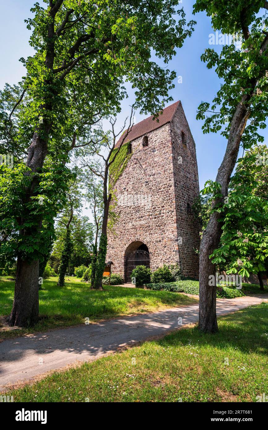 The Golden Louse, church tower ruins, Bismark, Altmark, Saxony-Anhalt ...