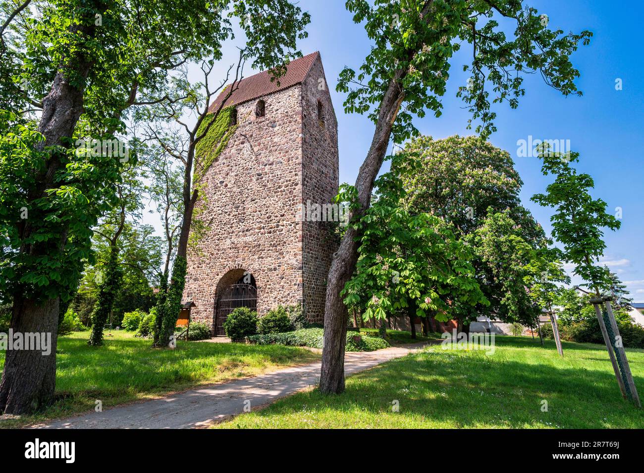 The Golden Louse, church tower ruins, Bismark, Altmark, Saxony-Anhalt ...
