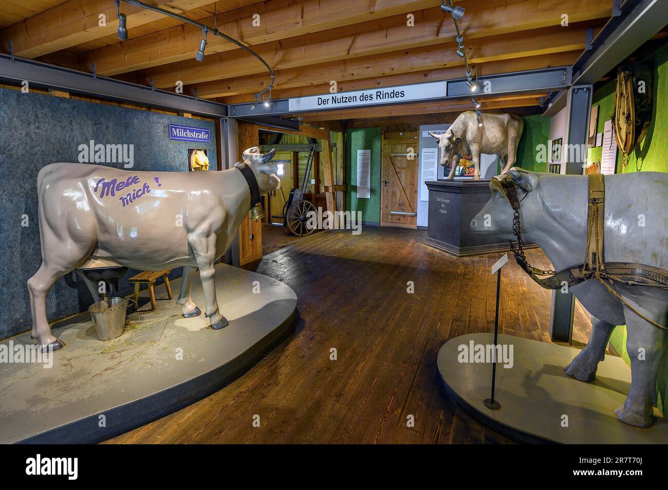 Sculptures of cows, The Use of Cattle, Allgaeu Mountain Farm Museum ...