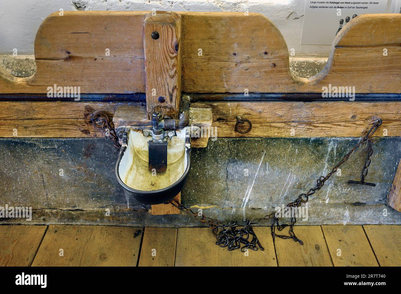 Detail, cow stall with drinking trough and chains, Allgaeuer ...