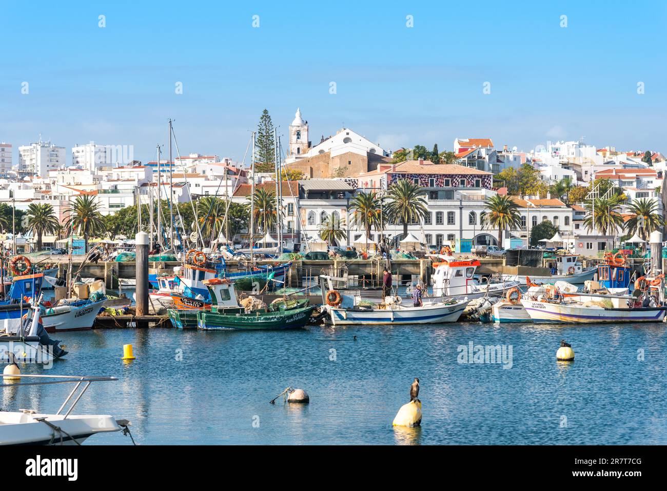 The fishing port of Lagos. Berth for cutter, trawler and commercial ...