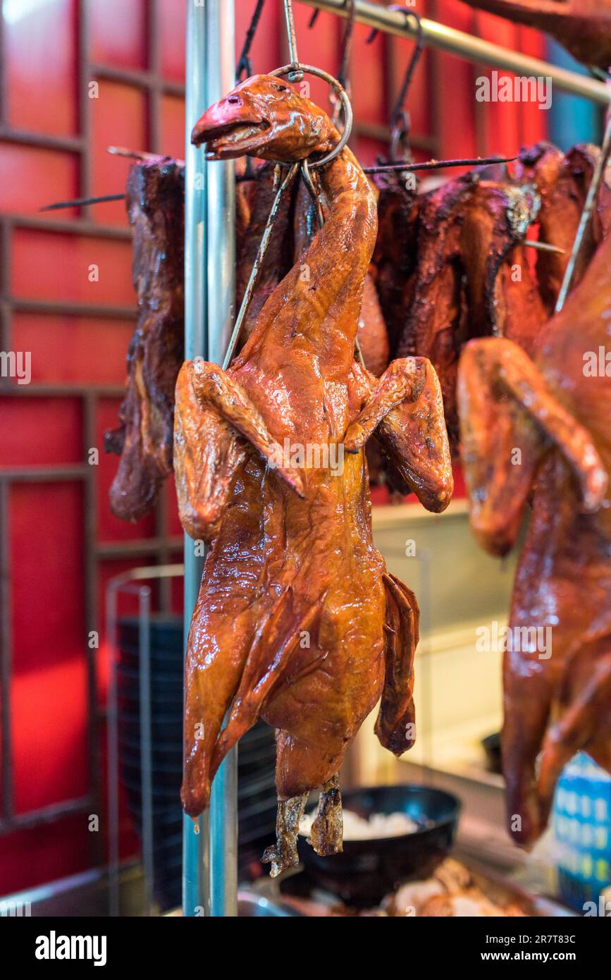 Domestic duck peking hi-res stock photography and images - Alamy