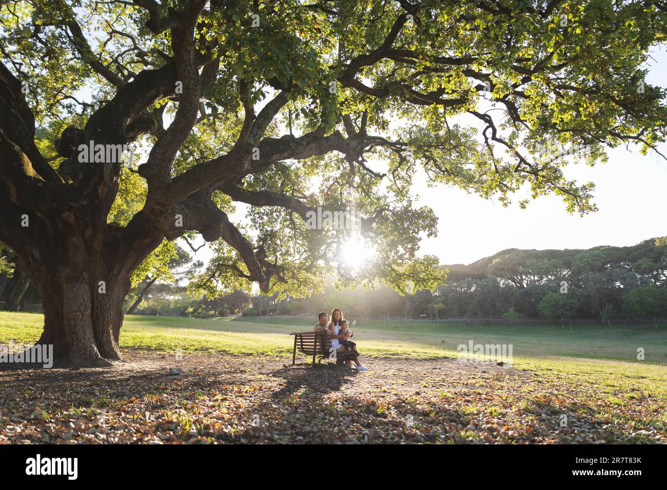 Cute family spending time in the park - sitting on a bench under big ...