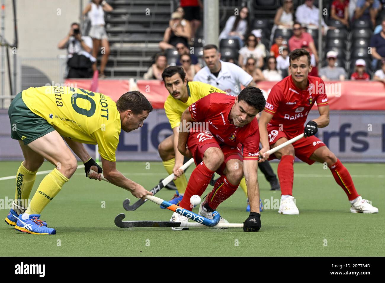 Arthur van oost hi-res stock photography and images - Alamy