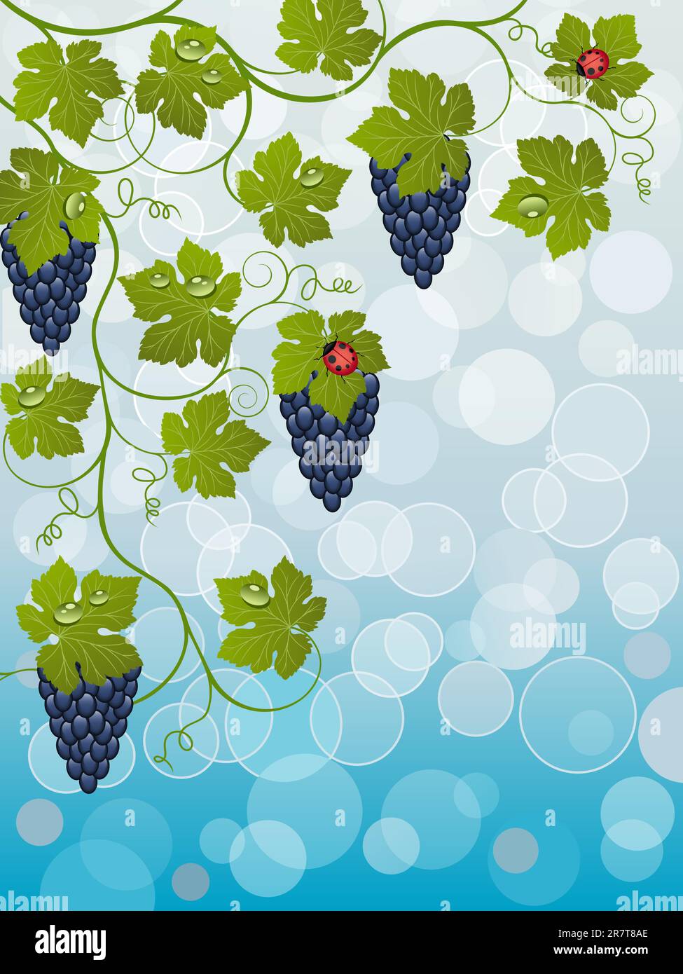 Floral background with vine. Vector illustration Stock Vector Image ...