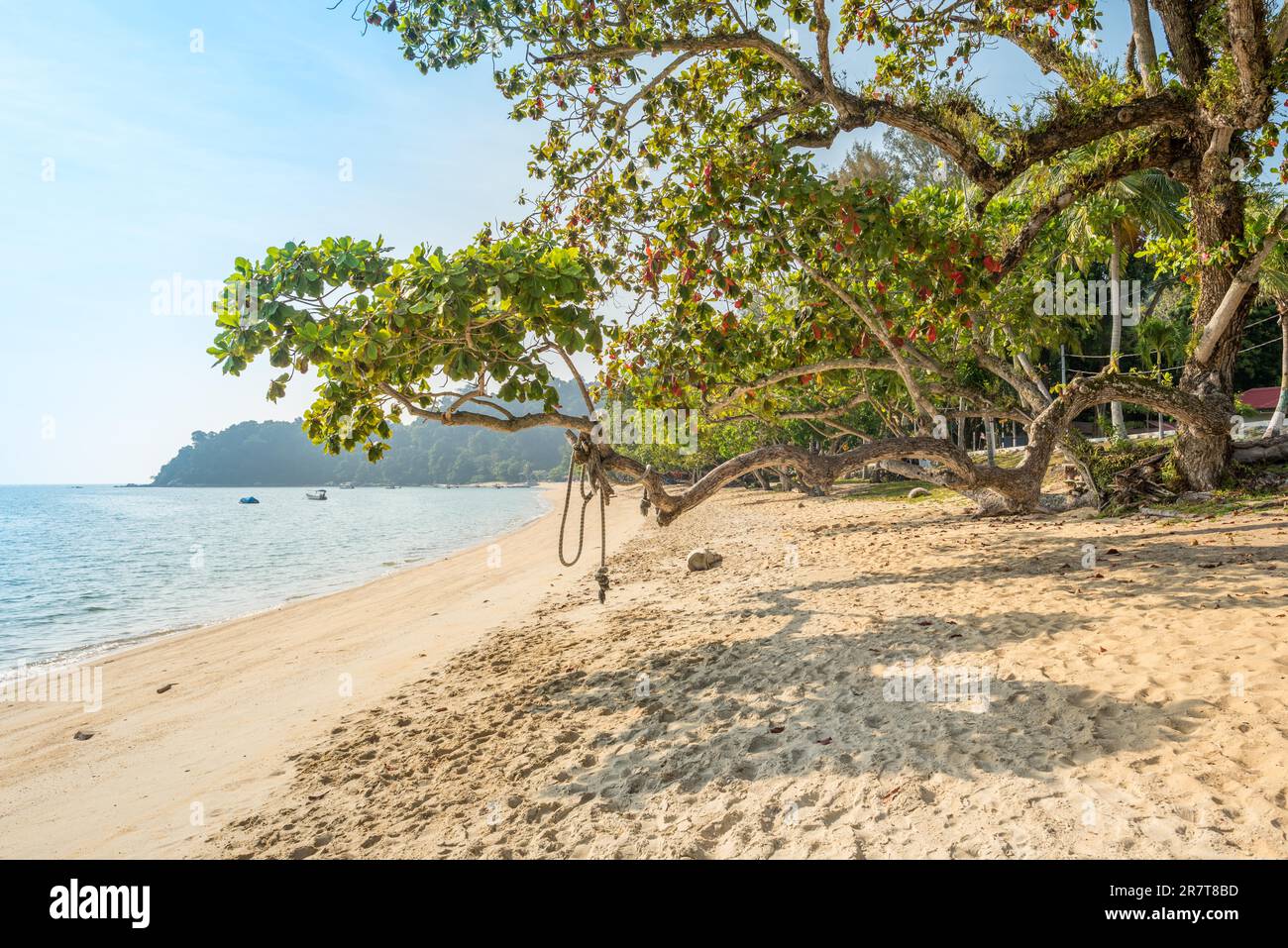 Beach swing at the Pasir Bogak Beach on the west side of the island of ...