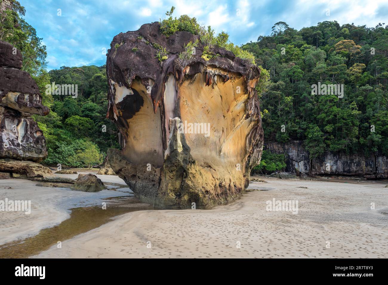 Geologically interesting sandstone rock formation at Bako National Park ...