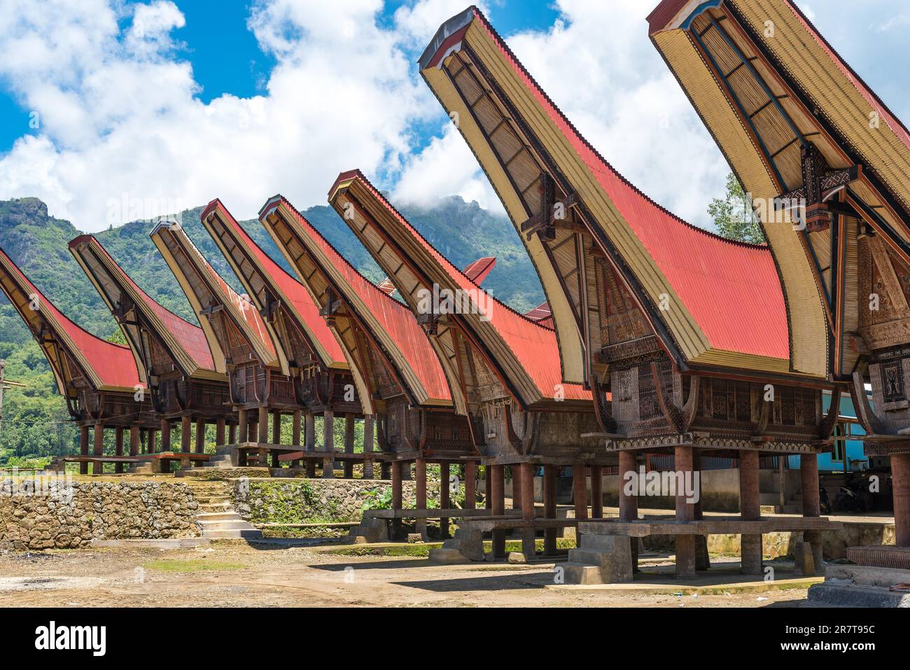 Rice barns, in Toraja called Alang, in the style of a traditional ...