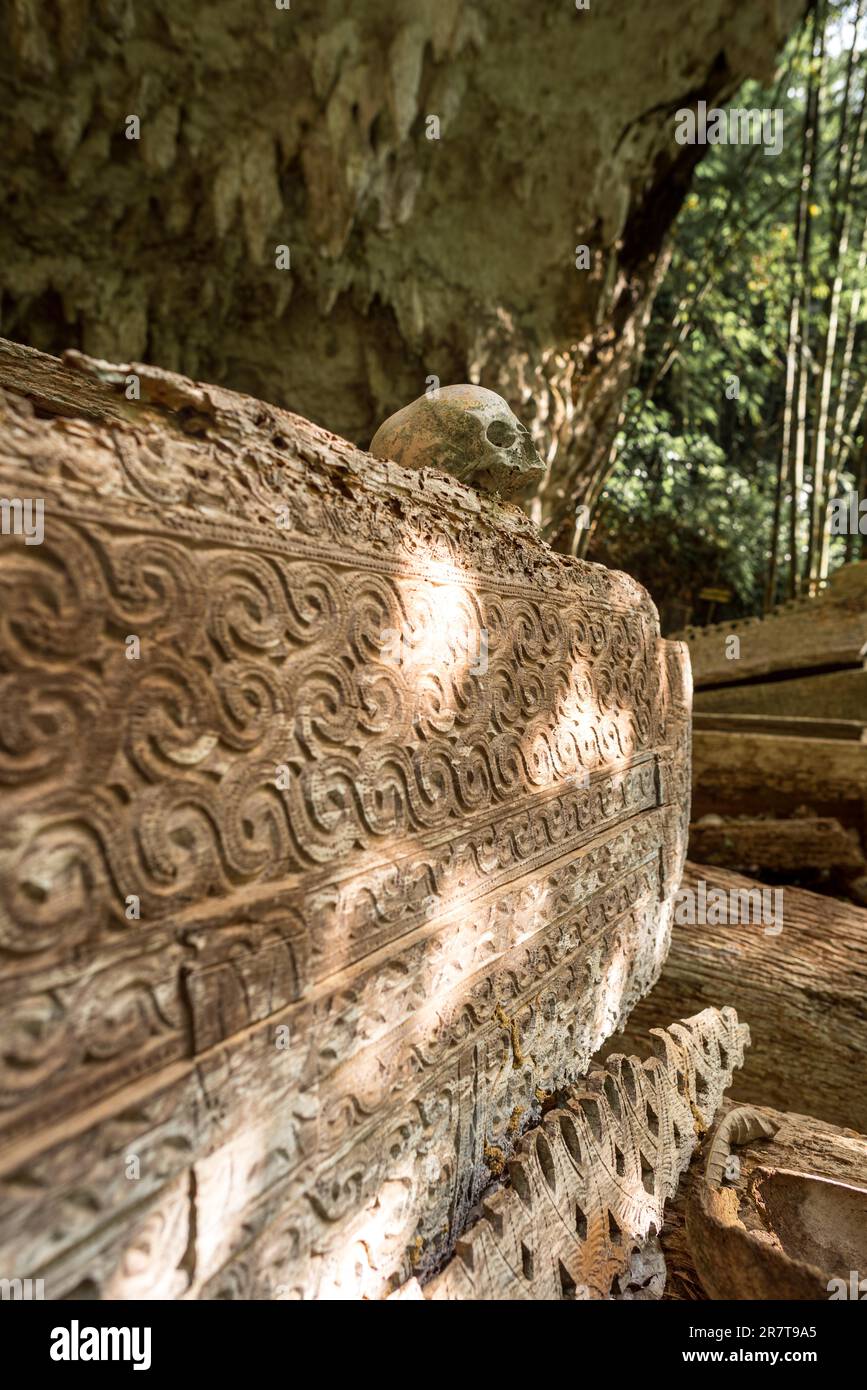 The spectacular cave tomb of Lombok Parinding which has housed the dead ...