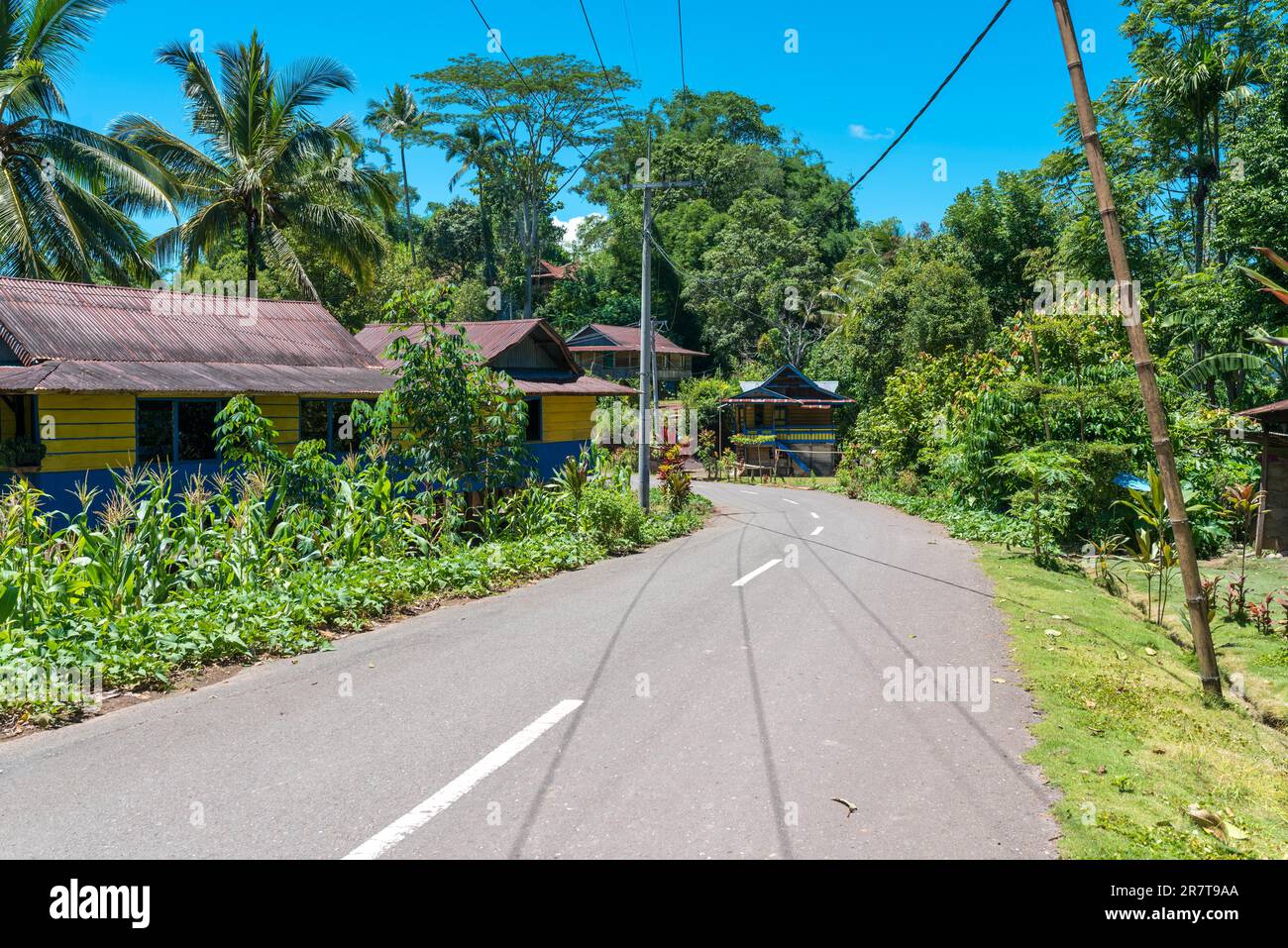 Typical houses of ordinary people and farmers in a linear settlement in ...