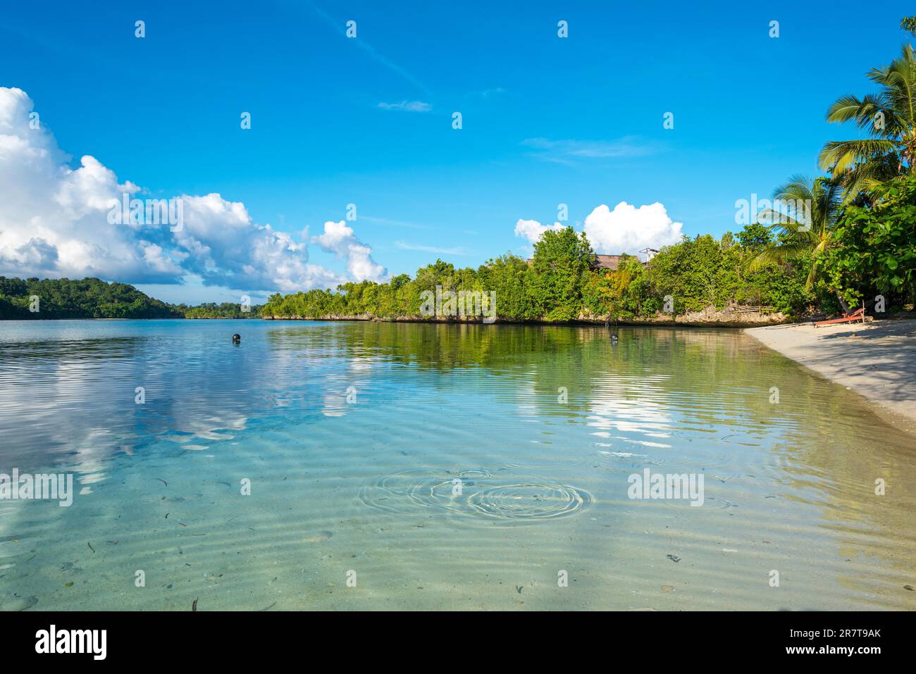 Beach of the islet of Poyalisa as part of the Togian Island Batudaka in ...