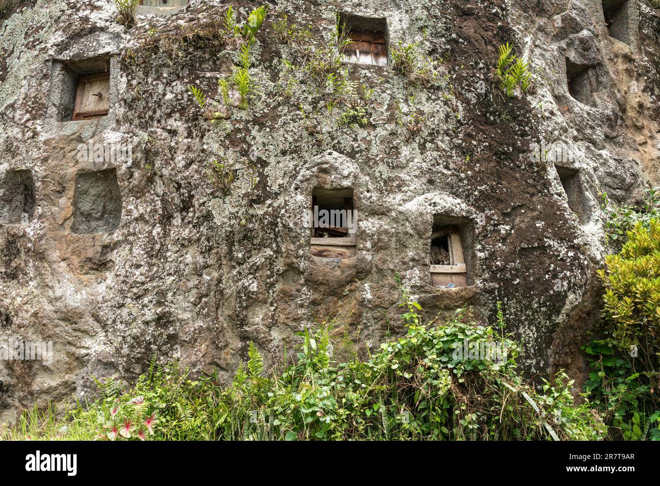 Rock tombs in the steep rock face of the burial site of Lemo in Tana ...