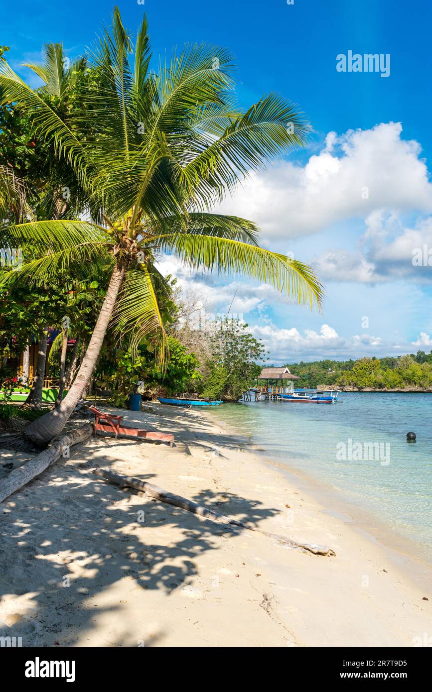 Beach of the islet Poyalisa as part of the Togian Island Batudaka in ...