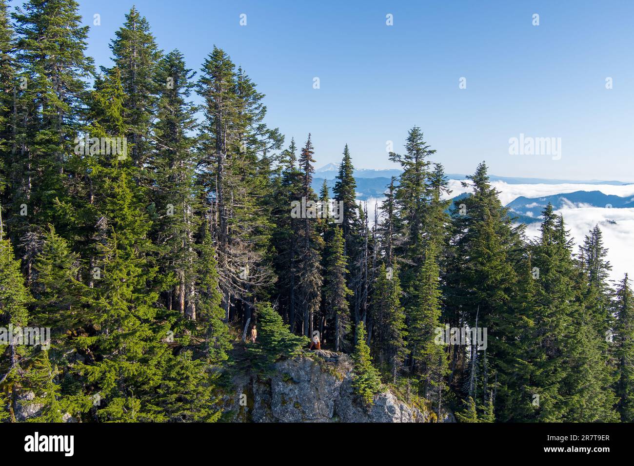 Mount Rainier and the Cascade Mountains of Washington State from High ...