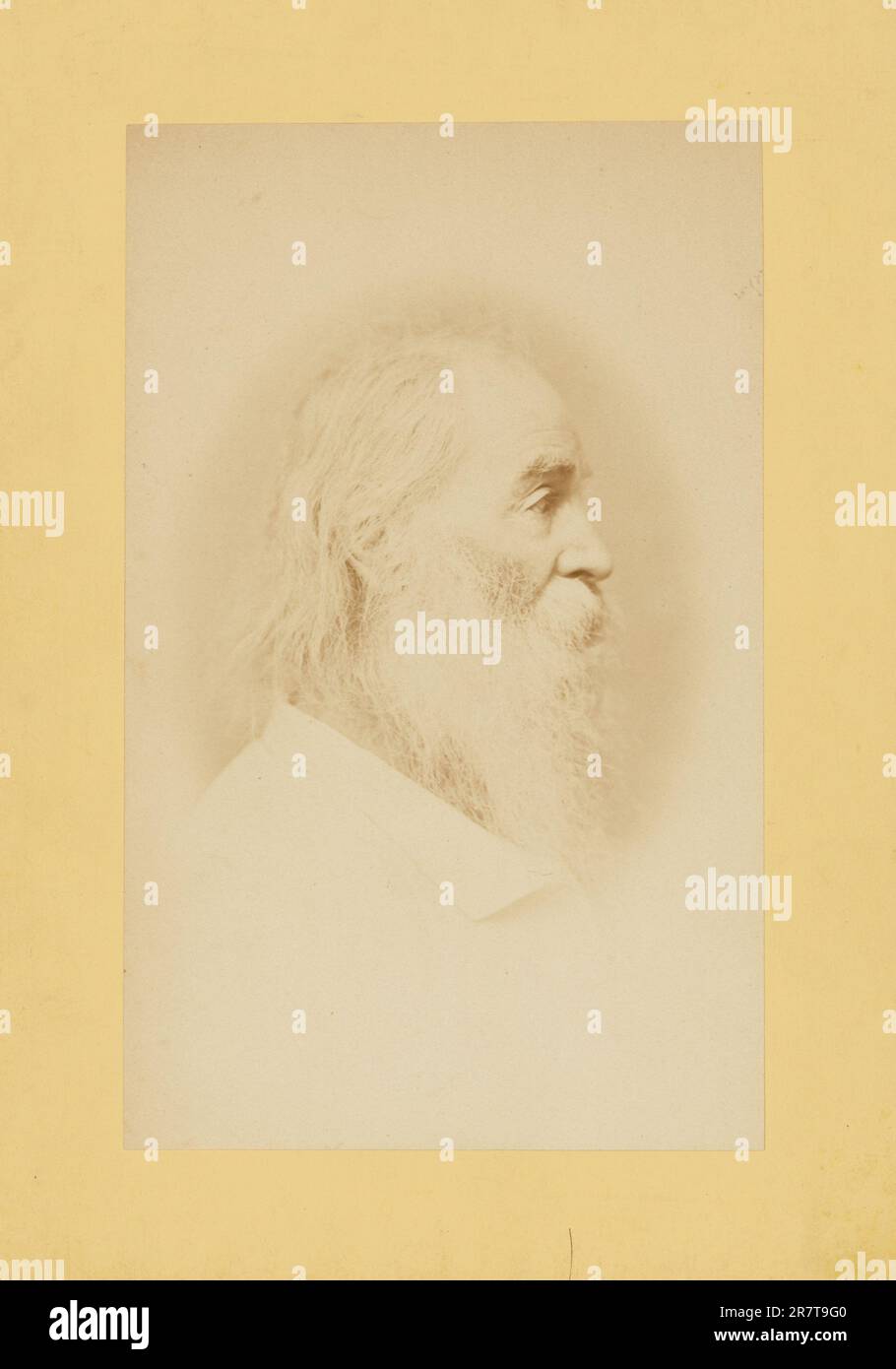 Walt whitman 1882 hi-res stock photography and images - Alamy