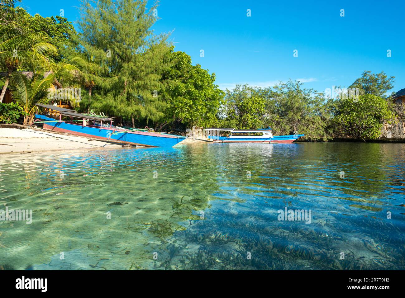 The Togian Islands in the Gulf of Tomini are a paradise for divers and ...