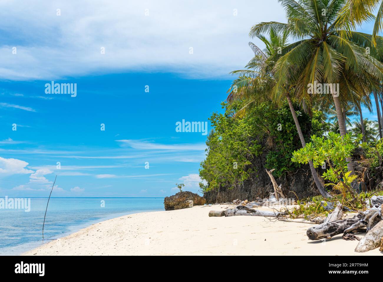 Beach of Taupan Island in Sulawesi. The islet is surrounded by a reef ...