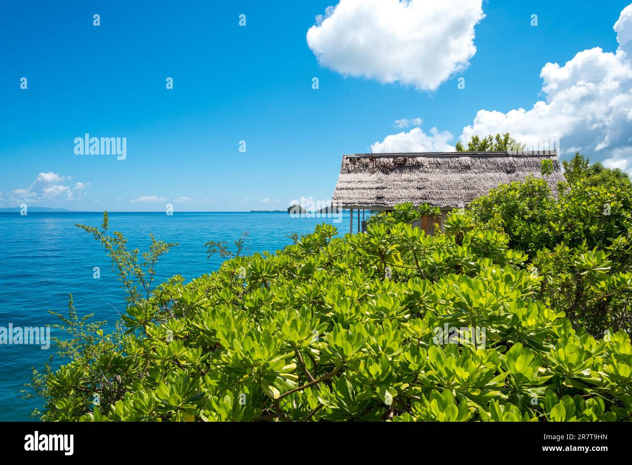 The little islet Poyalisa as part of the Togian Island Batudaka in the ...