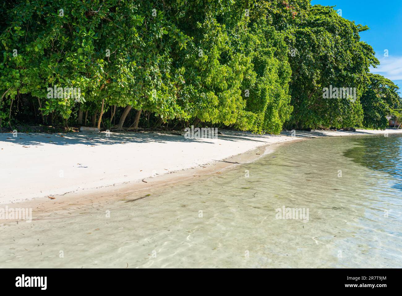 The white sandy beach of the Togian Island Batudaka in the Gulf of ...