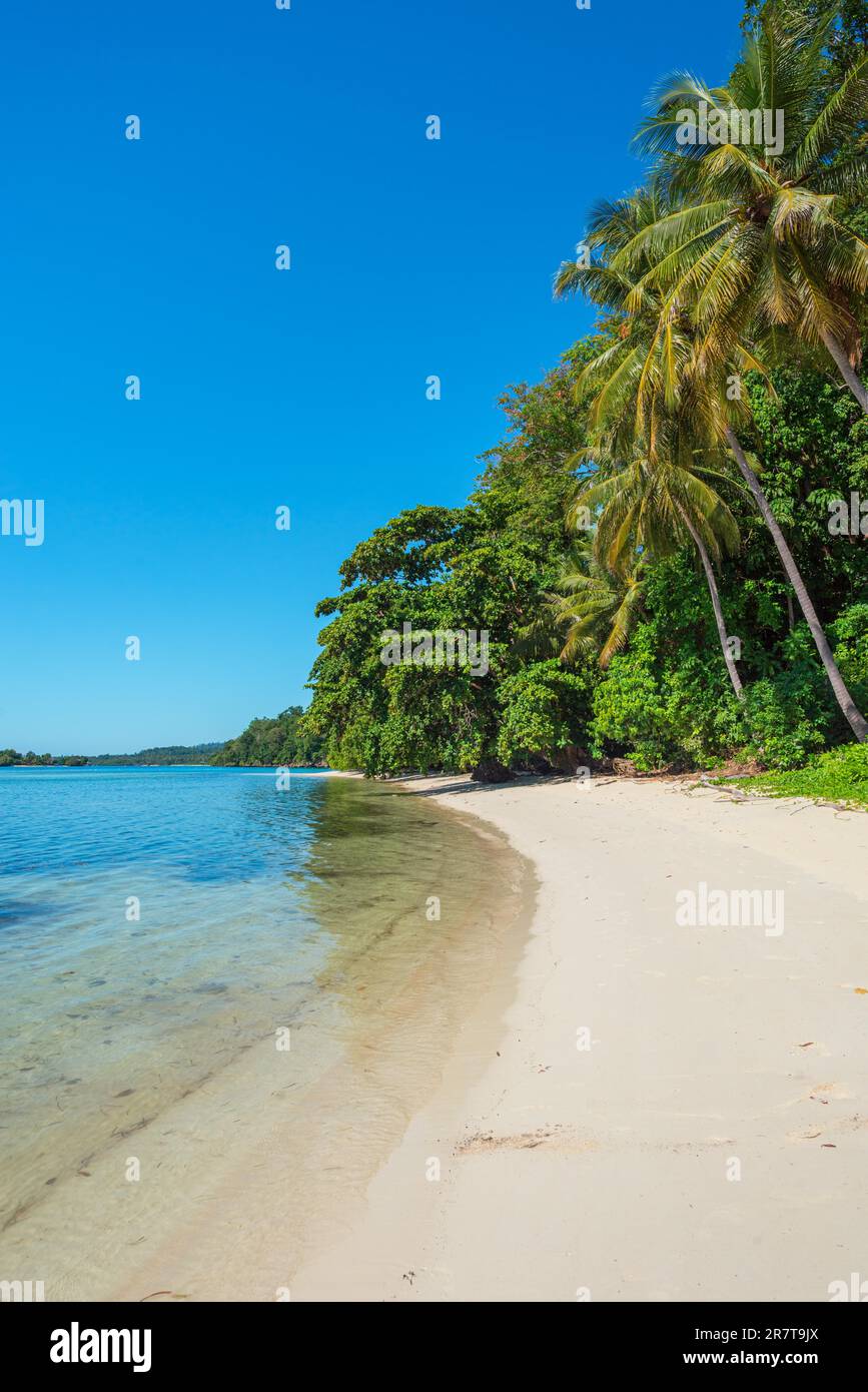 The white sandy beach of the Togian Island Batudaka in the Gulf of ...