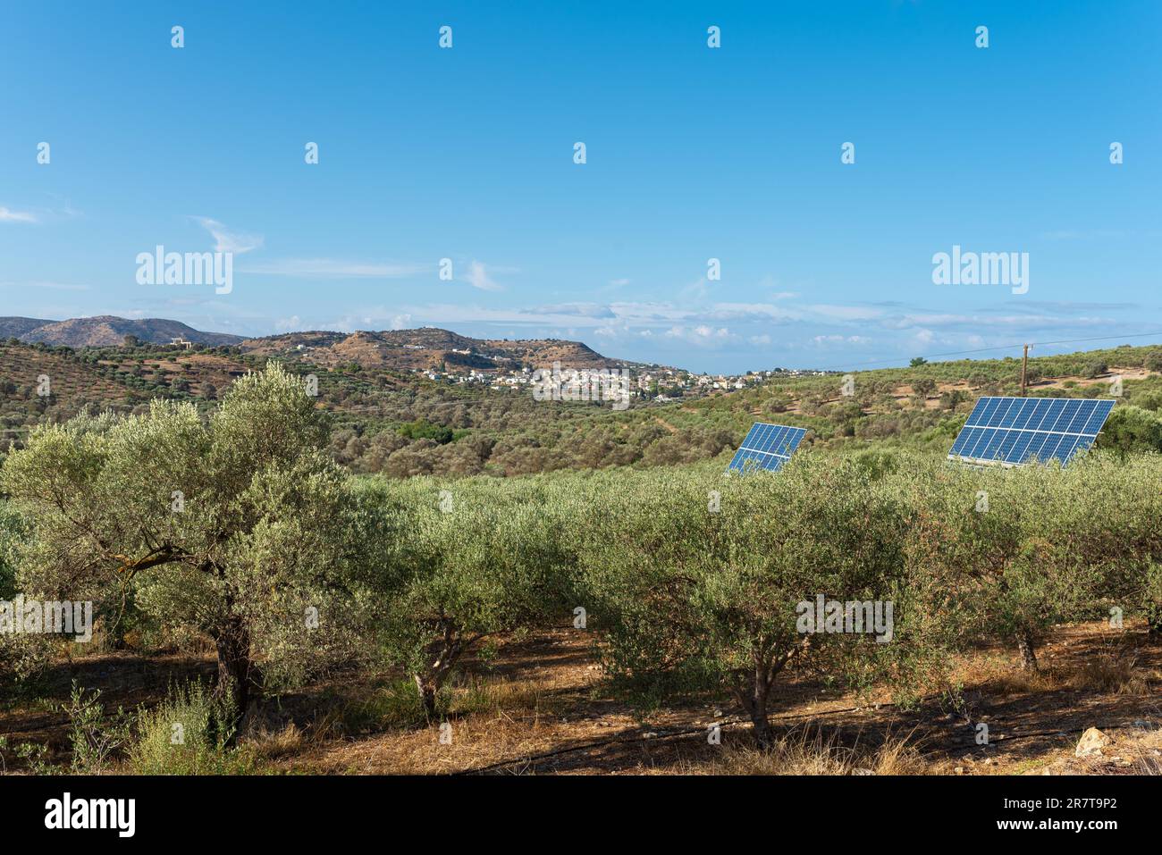 Renewable energy production with solar cells in the olive groves of the ...