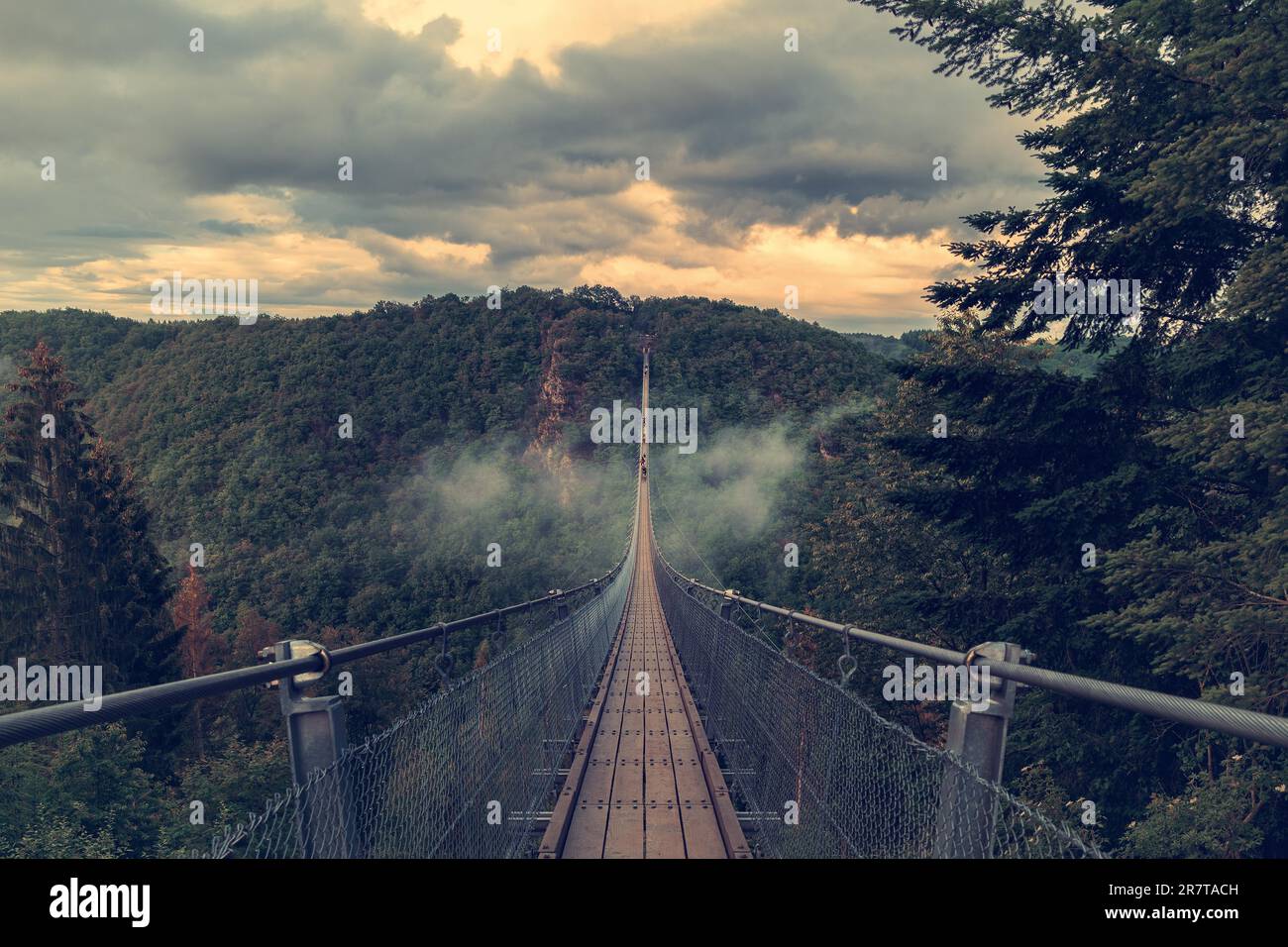 Geierlay footbridge hi-res stock photography and images - Alamy