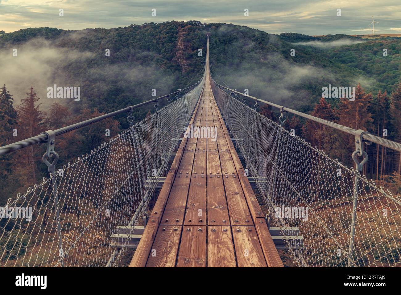 Geierlay footbridge hi-res stock photography and images - Alamy