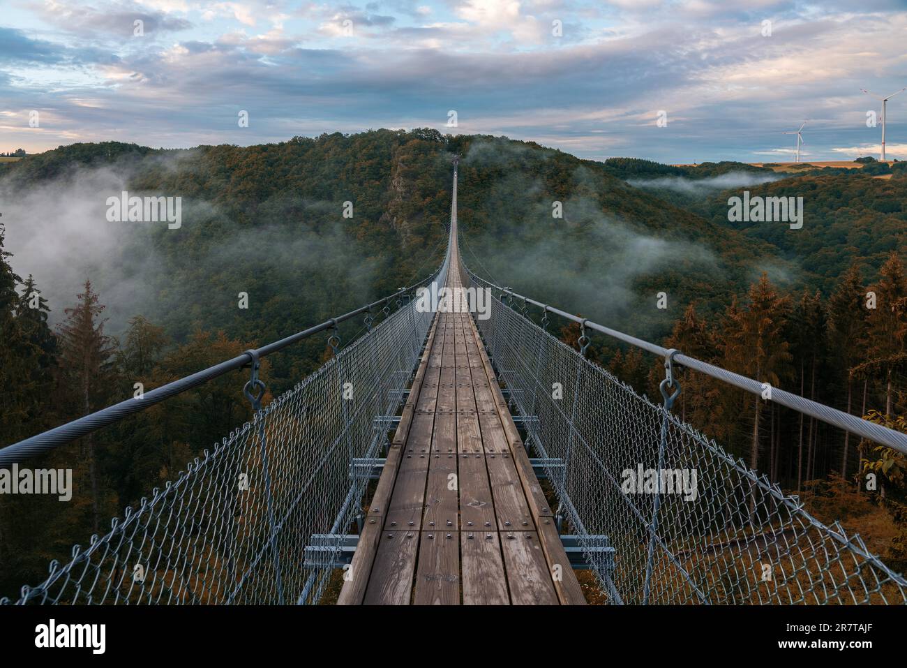 View of a suspension bridge in Germany, Geierlay Stock Photo - Alamy