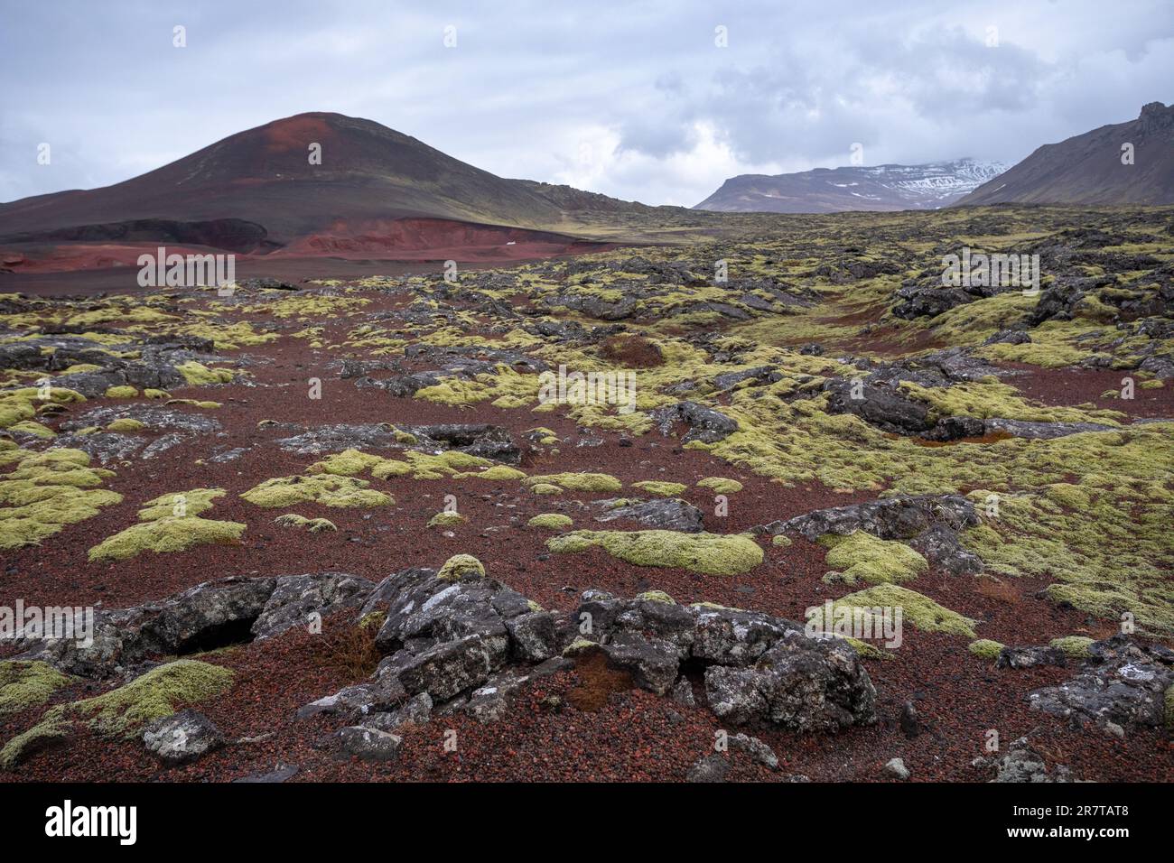 Iceland vesturland snaefellsnes peninsula lava hi-res stock photography ...