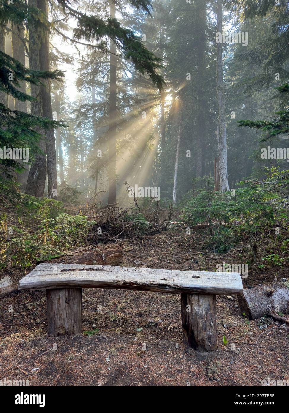Mount evergreen hi-res stock photography and images - Alamy